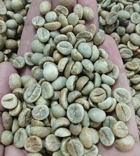 Buy Premium Robusta Coffee Beans – Bold Flavor & High Caffeine Content ...