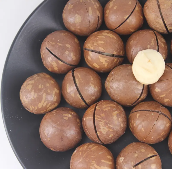 Buy New Crop 2025 Shelled/ Unshelled Natural Macademia Nuts Low Cost ...