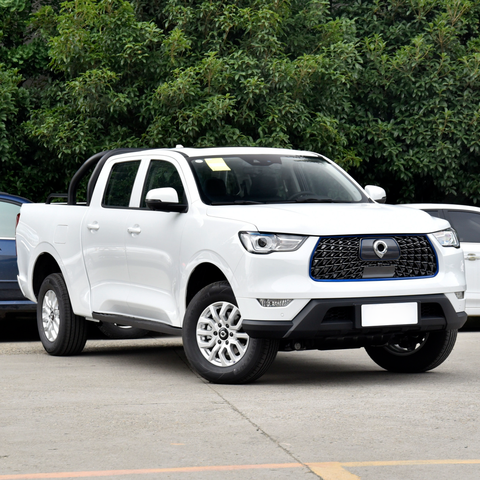 Buy 2021 Gwm Pao Ev Pickup Pure Electric Driving 405km Smart Cockpit ...