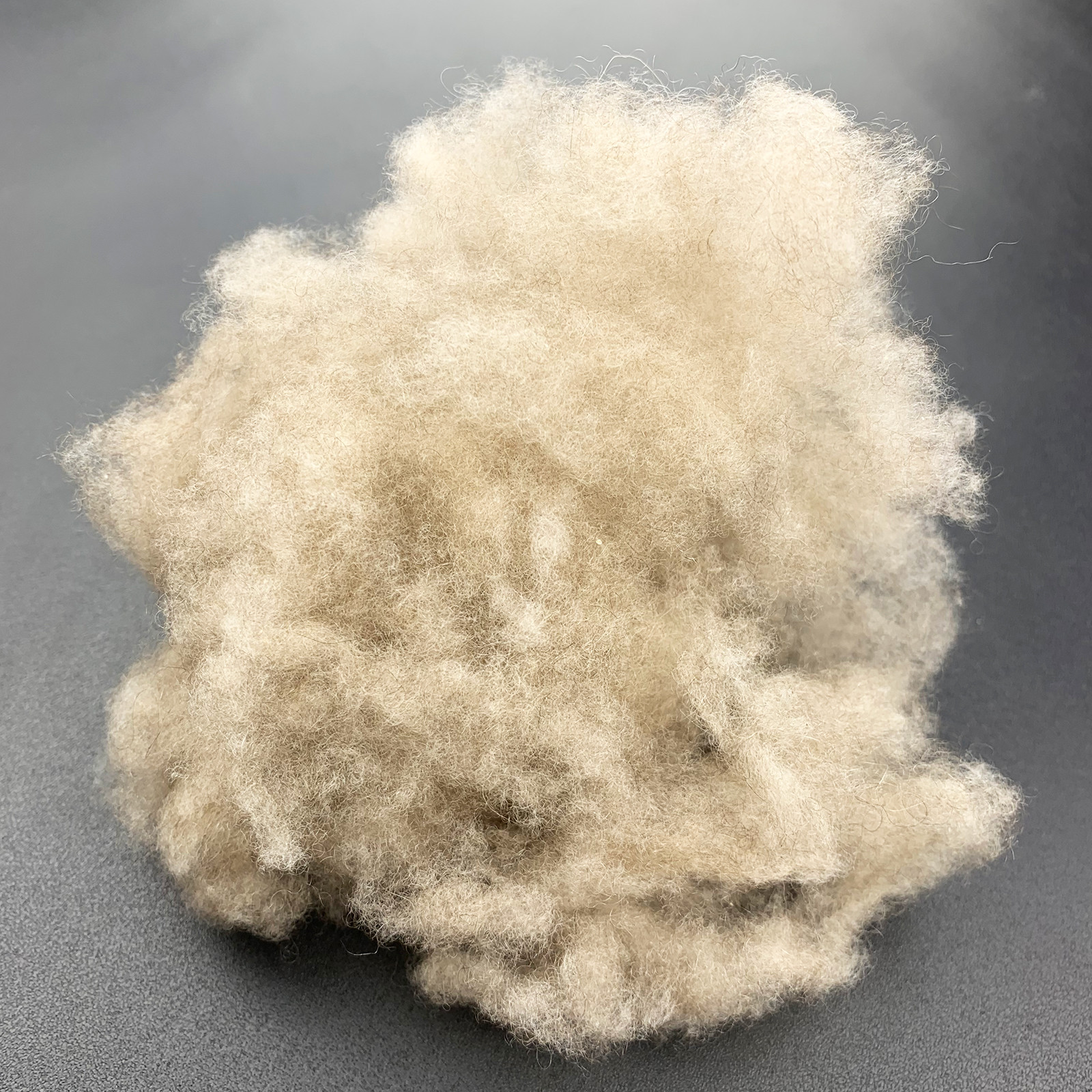 Buy 2021, Super Washed Sheep Wool High Quality Dehaired Cashmere Fiber ...