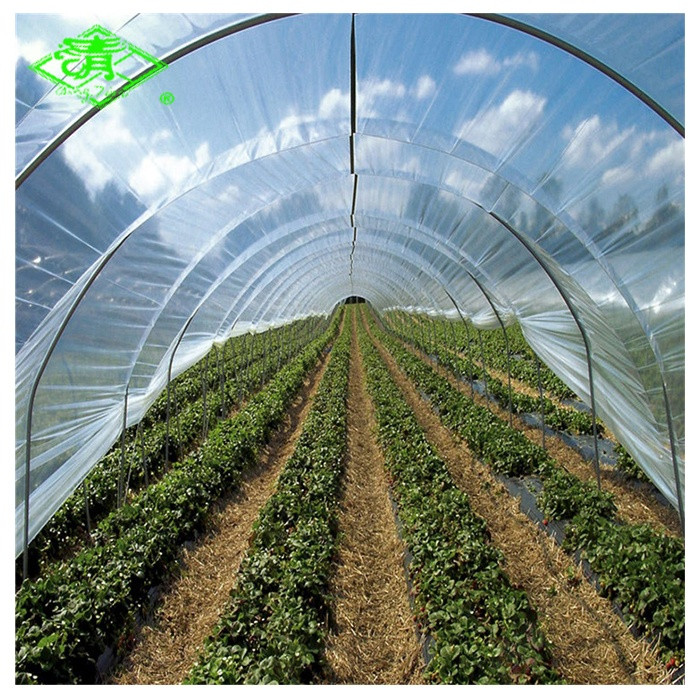 Buy Agricultural Vegetable Film Greenhouse With Po Film from Shandong ...