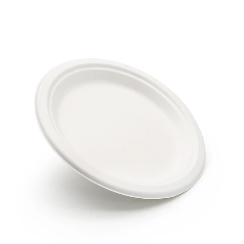 Buy Disposable Compostable Sugarcane Bagasse Food Paper Plates Bamboo ...