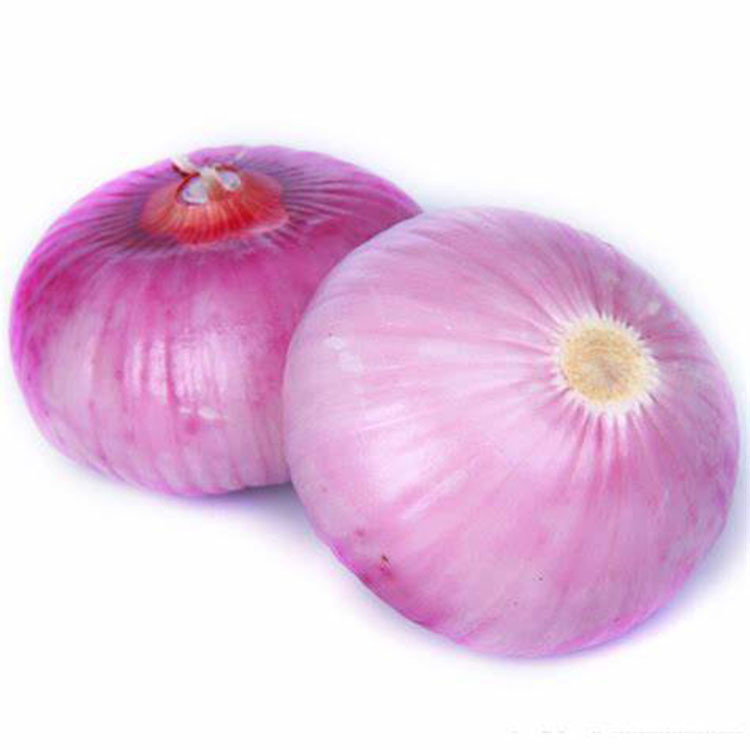 Buy Frozen Red Onion Whole For Sale from Fujian Fulong Frozen Foods Co ...