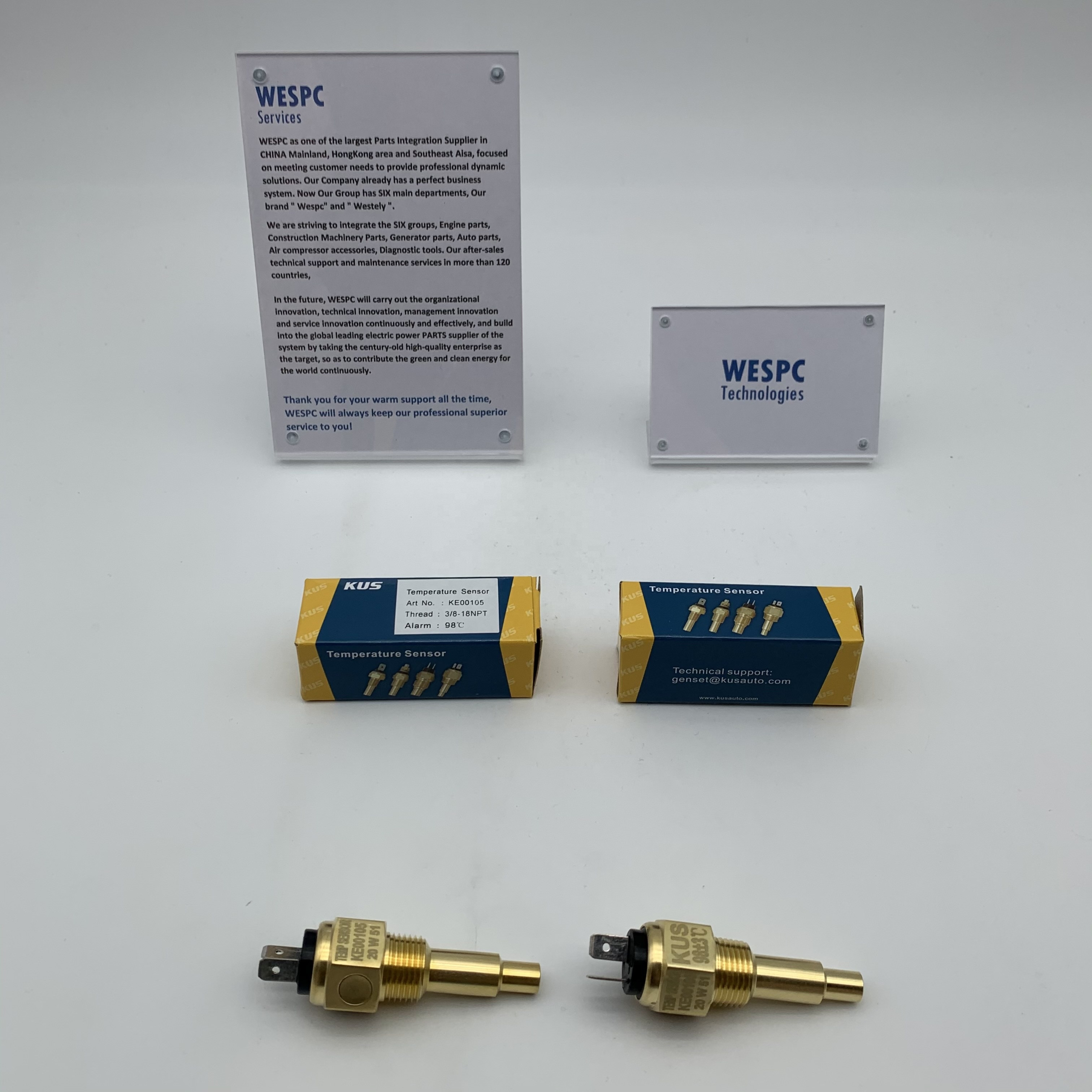 Buy Original Kus Ke00105 Water Temperature Sensor With Alarm For ...