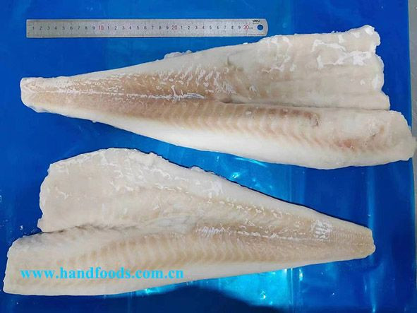 Buy Frozen Pacific Cod Fillets from Hand Foods (Dalian) Co., Ltd ...