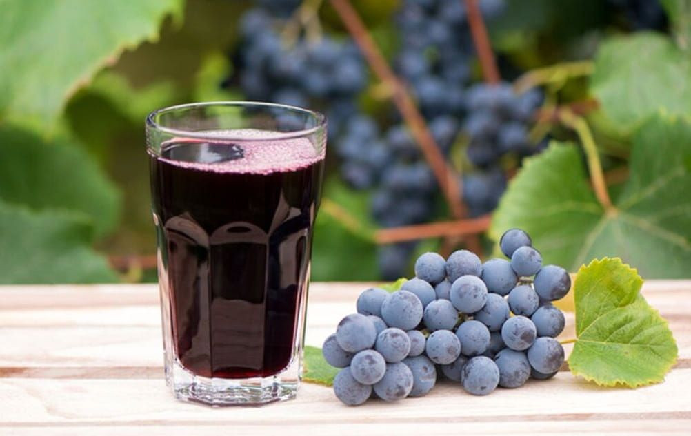 Buy Red Grape Concentrate from Faranil Trading Group, Iran | Tradewheel.com