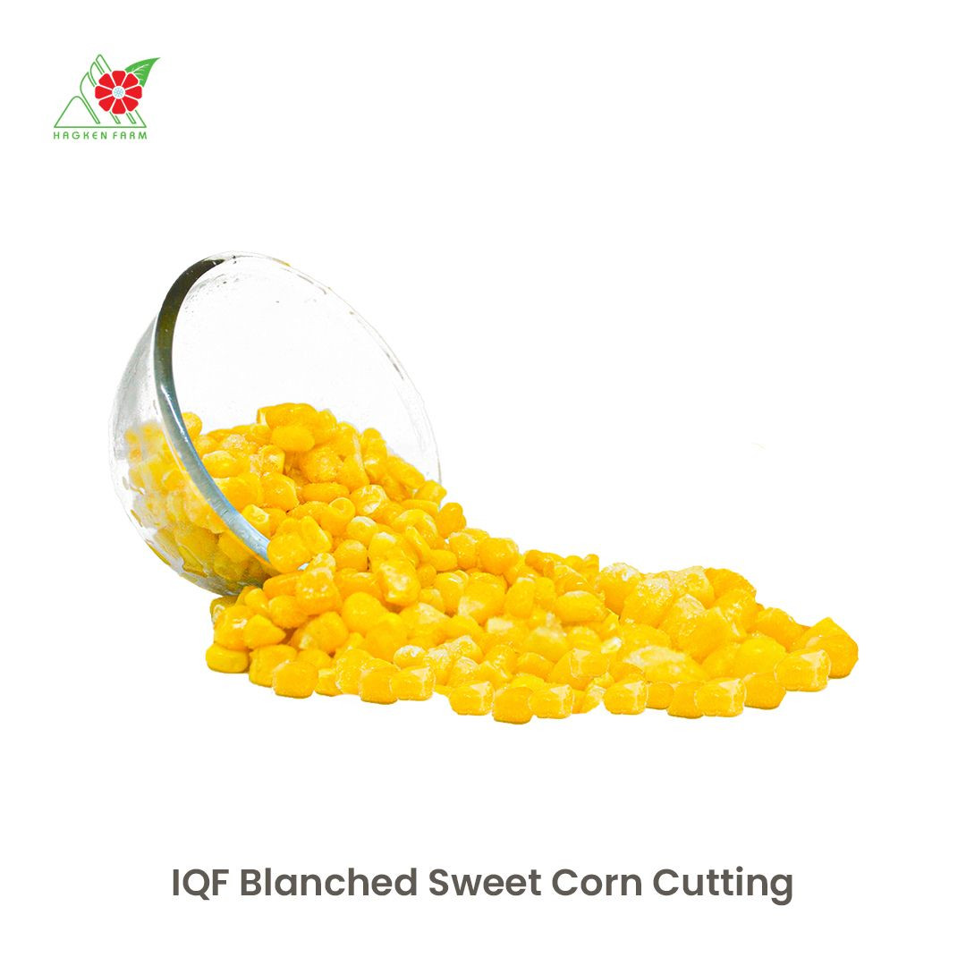 Buy Iqf Blanched Sweet Corn Cutting from CV. Hortindo AgroKencana Farm, Indonesia | Tradewheel.com