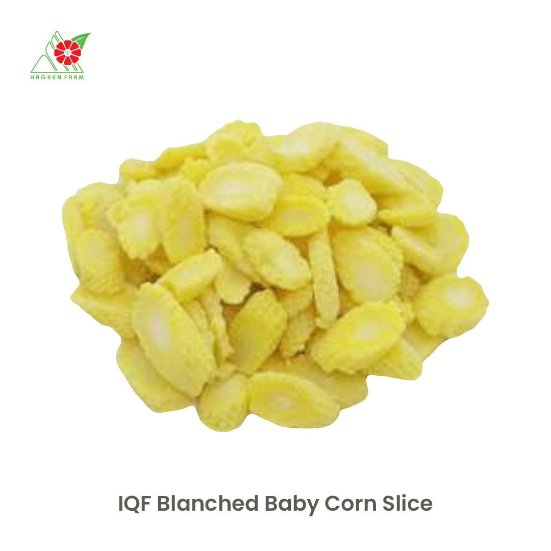 Buy Iqf Blanched Sweet Corn Cutting from CV. Hortindo AgroKencana Farm ...