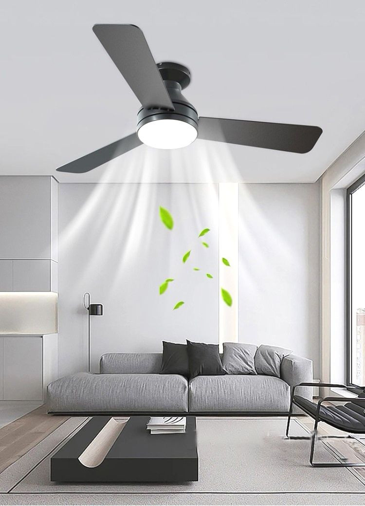 Buy Modern Simple Ceiling Fan With Light In Black & White from ...