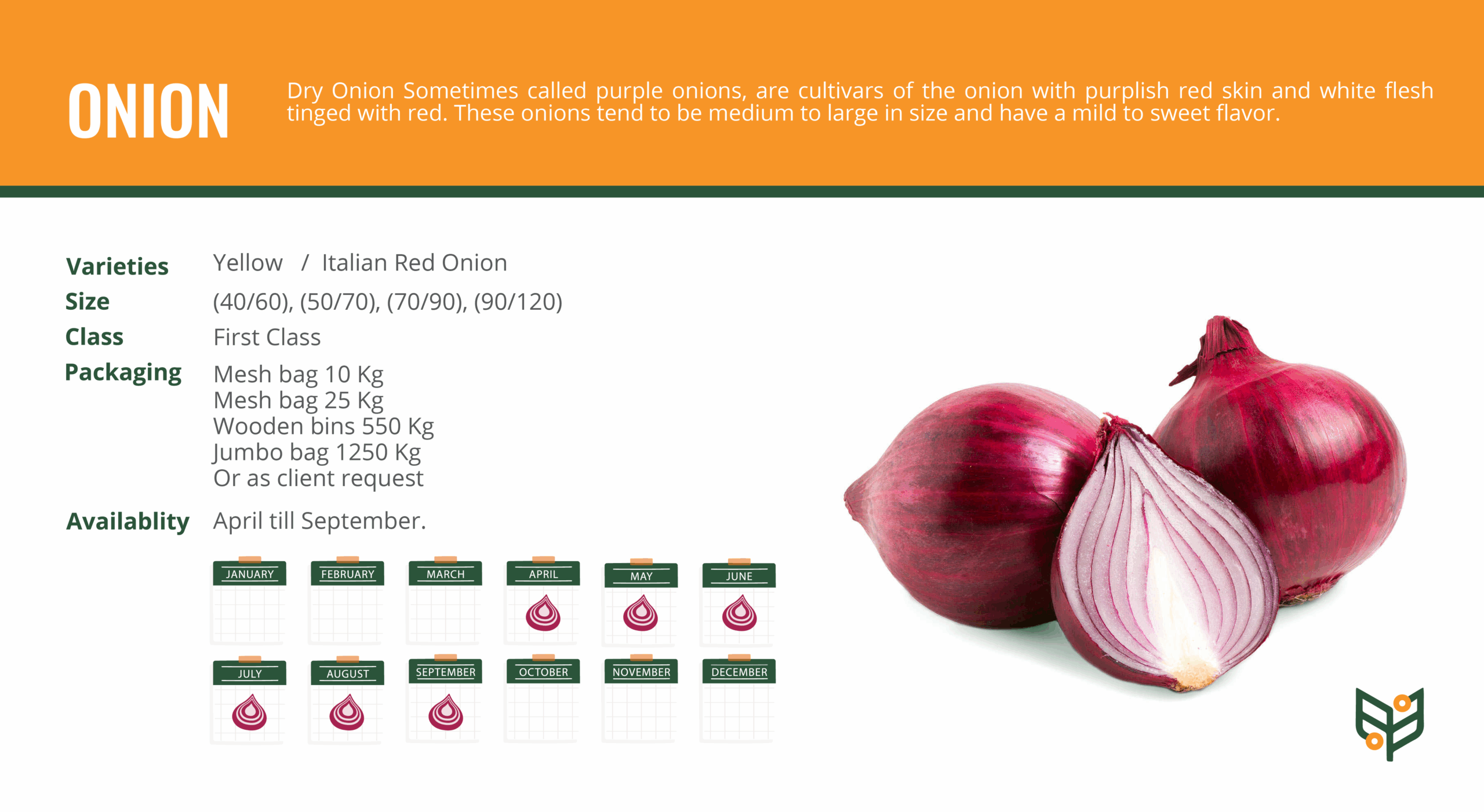 Buy Fresh Yellow Onion / Golden Onion / Red Onion from Green Agro ...