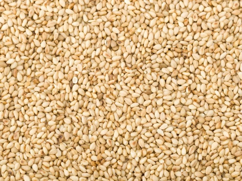 Buy Sesame from El-Shareif international, Sudan | Tradewheel.com