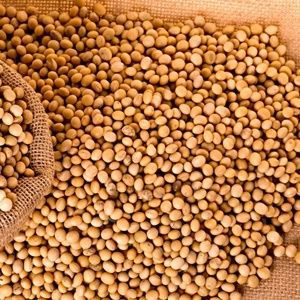 Buy Soya Beans from Yoohong Business Syndicate Co; Ltd., Thailand ...