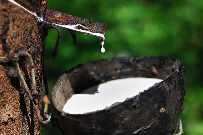 Buy Natural Raw Rubber Latex Wholesale from Impex Trading, USA ...