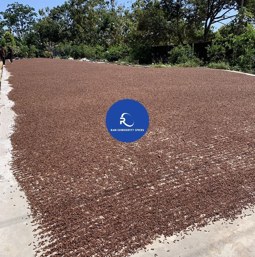 Buy Clove from RAN SERENDIPITY SPICES, Indonesia | Tradewheel.com