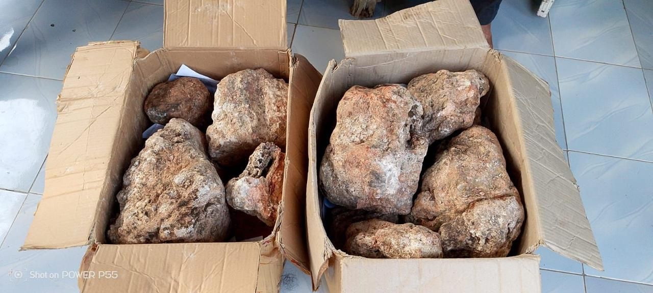 Buy Ambergris from Daeng Cenning, Indonesia | Tradewheel.com