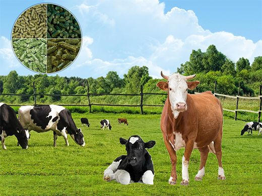 Buy Cattle Feed Mill Plant from Henan Herm Machinery Co., Ltd., China ...