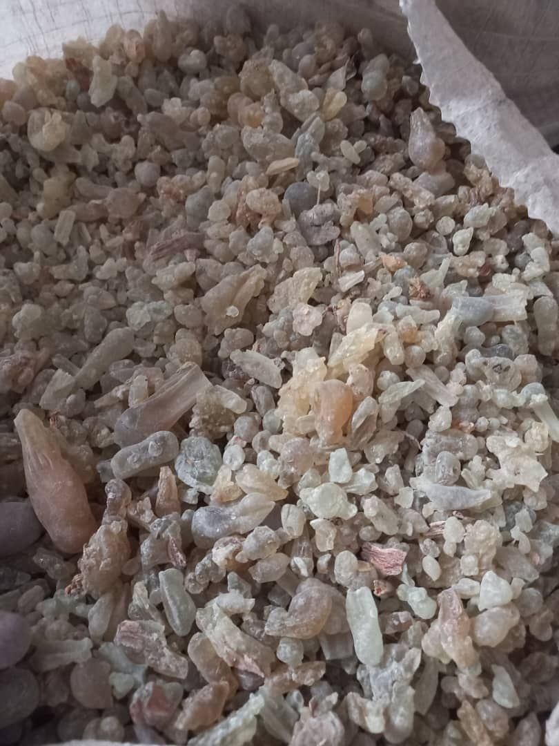 Buy Luban/gum Arabic from Biamfa global Ltd, Nigeria | Tradewheel.com