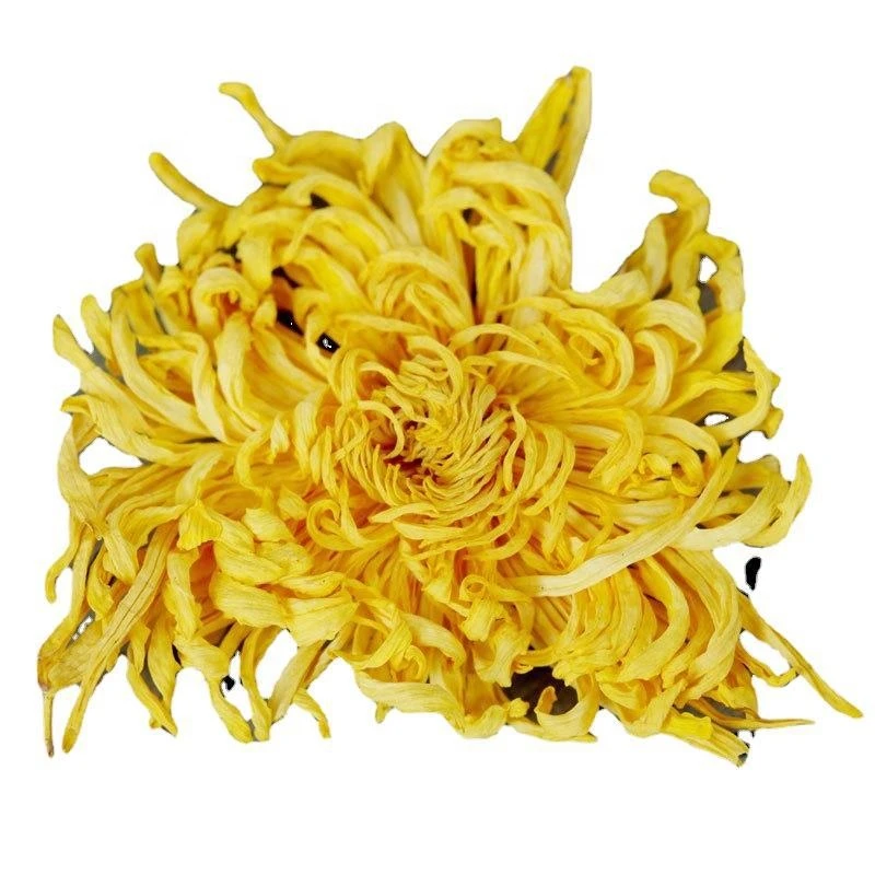 Buy 4022j Big Jin Si Huang Ju Soaked 7 8cm Blooming Chrysanthemum Tea Buy 4022j Big Jin Si Huang Ju Soaked 7 8cm Blooming Chrysanthemum Tea