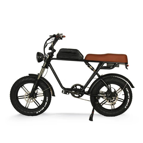 Buy Adn-x7 Pro 48v 20ah 750w Rear Hub Motor Retro Electric City Bike Bicycle Mountain Ebike ...