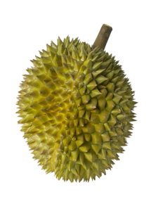Buy Frozen Whole D101 Durian In Malaysia from DB KARISMA SDN. BHD ...