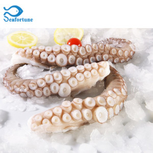 Buy Frozen Whole Round Giant Octopus Vulgaris from Eastern United Fish ...