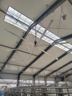Buy Industrial Ventilation Dairy Farm Ceiling Fan from Hebei Junguang ...