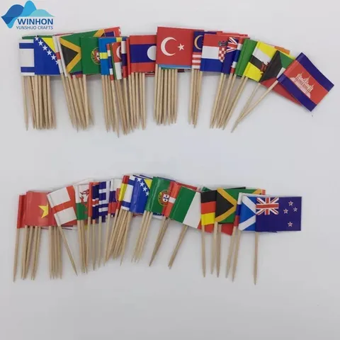 Buy National Countries Flags Toothpicks 50 Countries And Box Packing ...