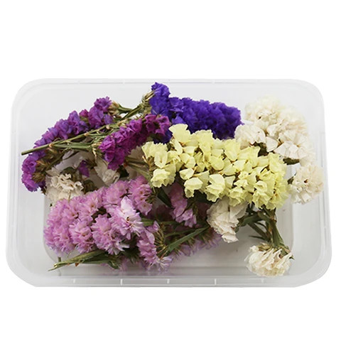 Buy Natural Dried Flowers Dry Plants Petal Bulk Material Package ...
