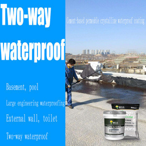 Buy Pownice Cement - Based Permeable Crystalline Waterproof Material ...