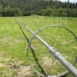 Buy Side Roll Irrigation System For Farm Irrigation System For Sale In ...