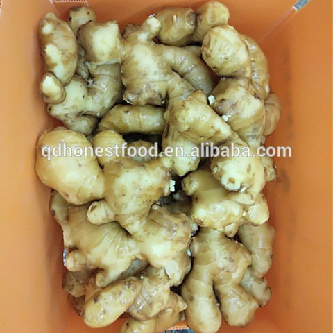 Buy Super Fresh Air Dry Organically Grown Fat Yellow Ginger From China ...