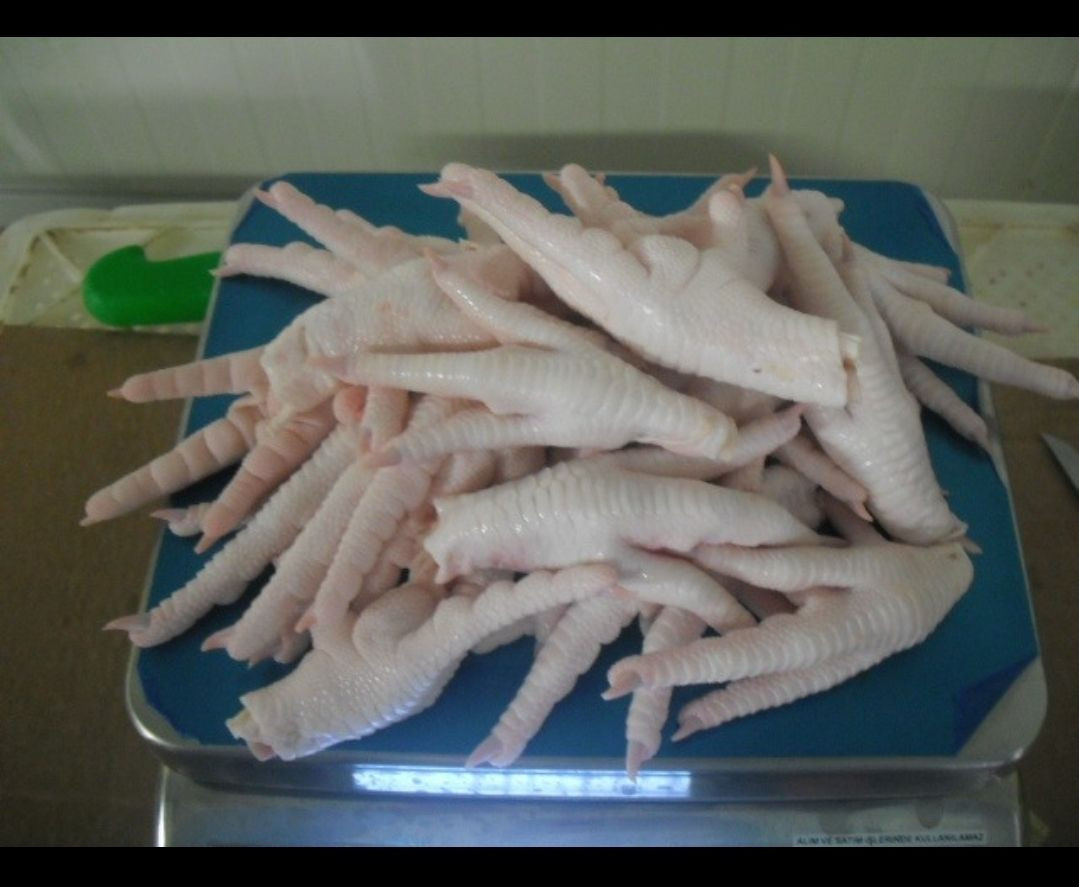 Buy Chicken Feet Paws from Capan Denizcilik, Canada | Tradewheel.com