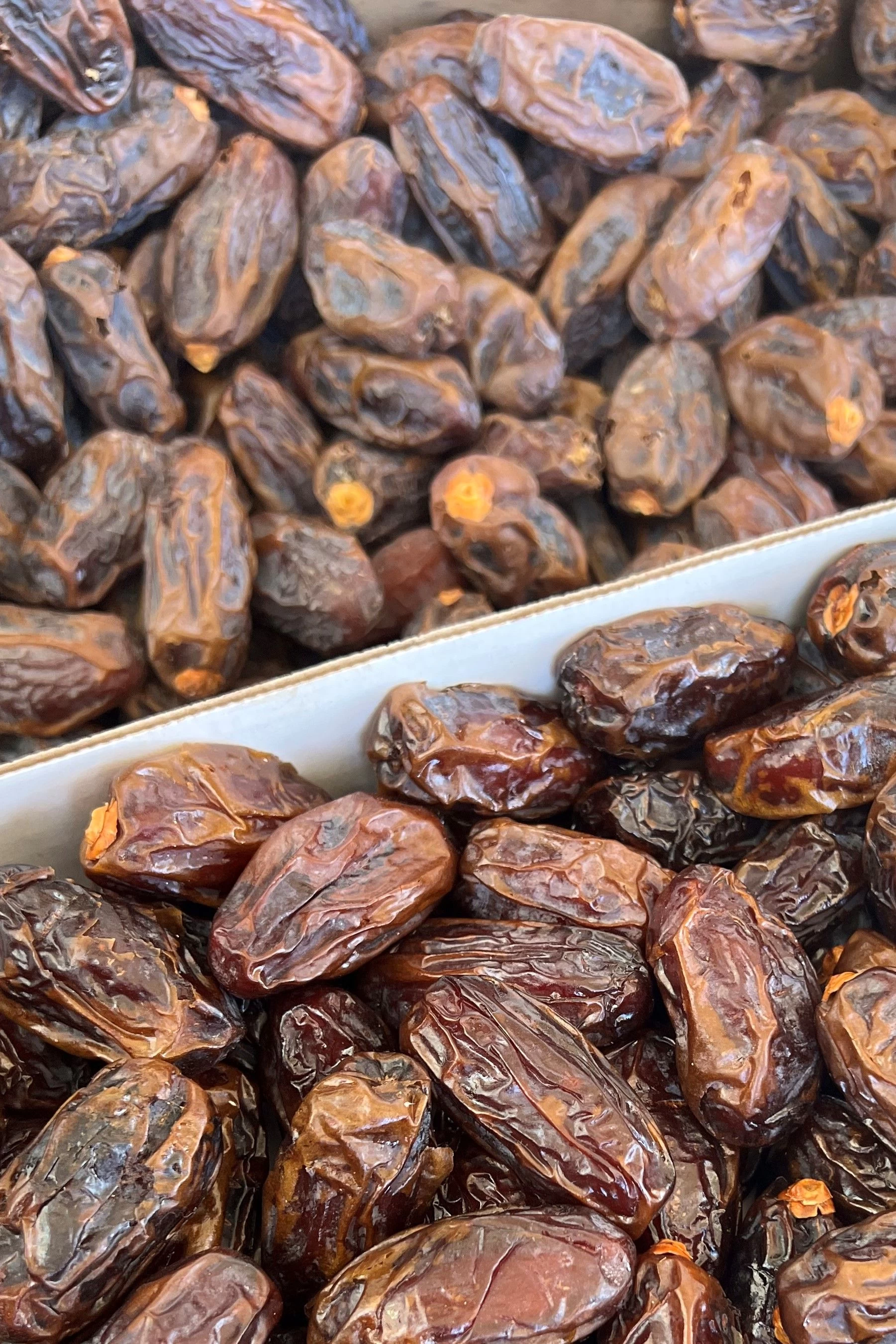 Buy Medjool from Empire Dates, USA | Tradewheel.com