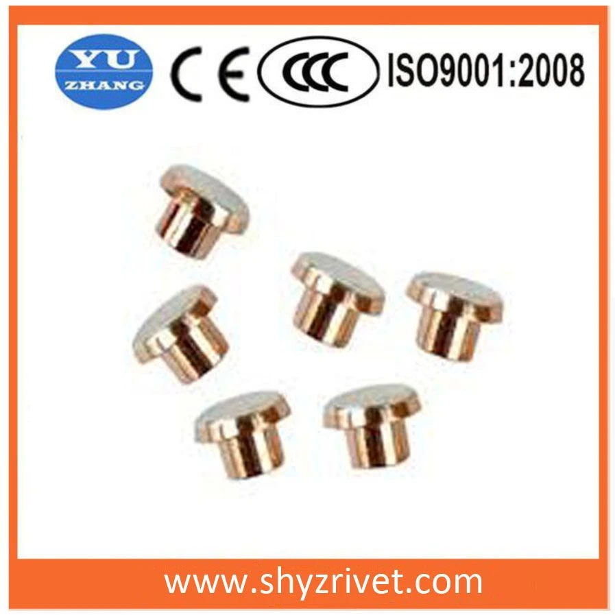 Buy Electrical Silver Contact For Switch from Shanghai Yuzhang Industry ...