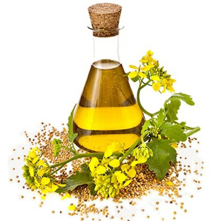 Buy Wholesale Pure Mustard Oil Cold Pressed Factory Price Cooking Oil ...