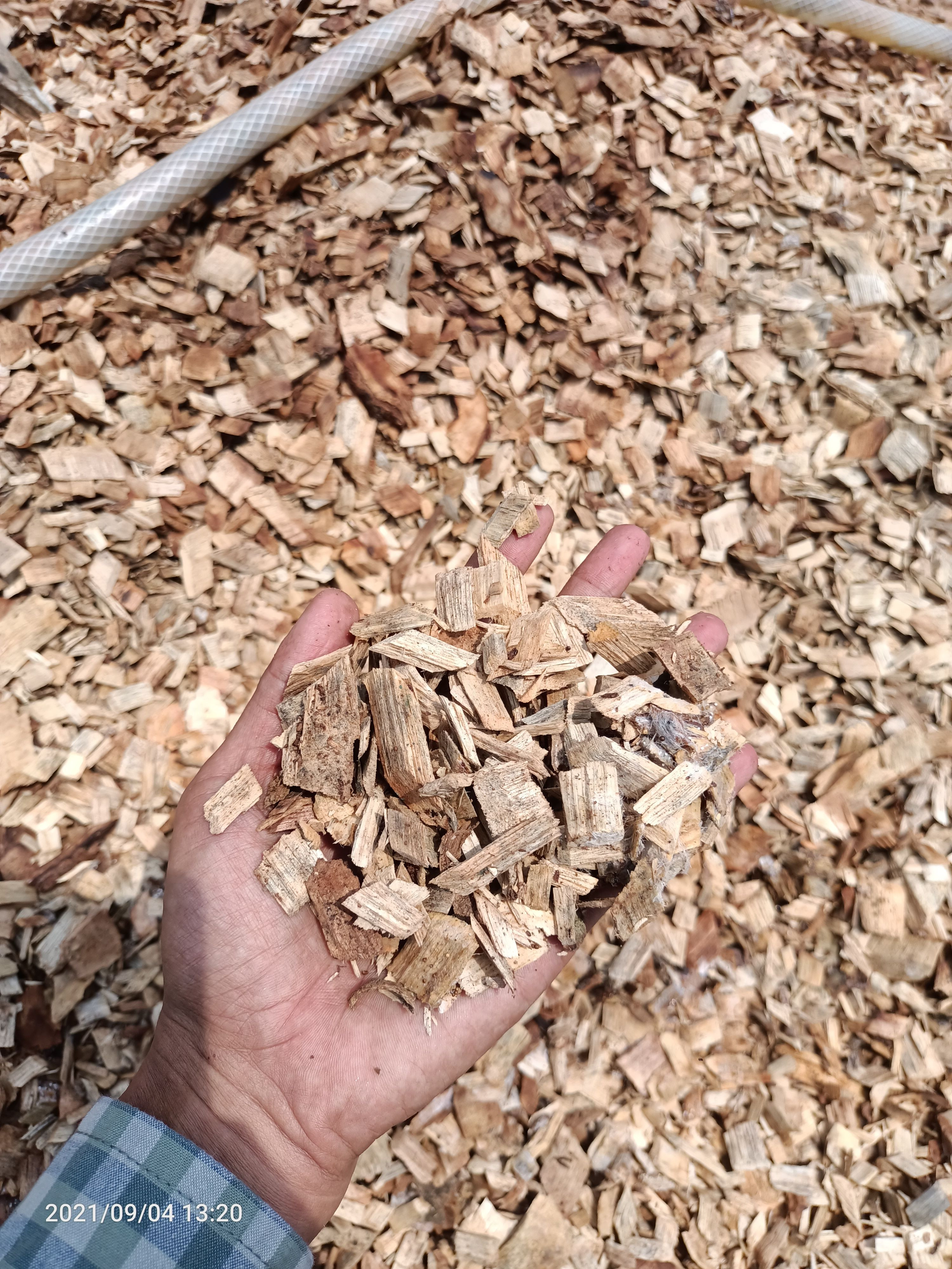 Buy Wood Pellet, Palm Kernel Shell, Wood Chips from Alma Transjaya ...