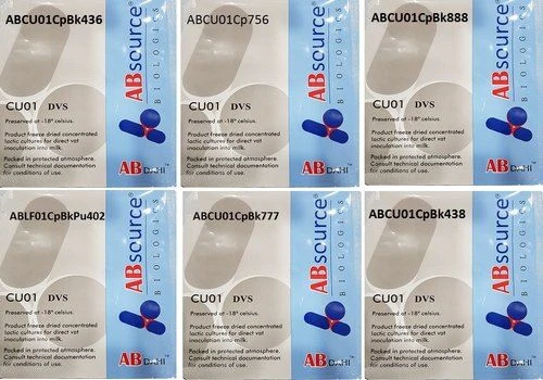 Buy Starter Culture For Curd / Dahi from ABsource Biologics Pvt. Ltd ...