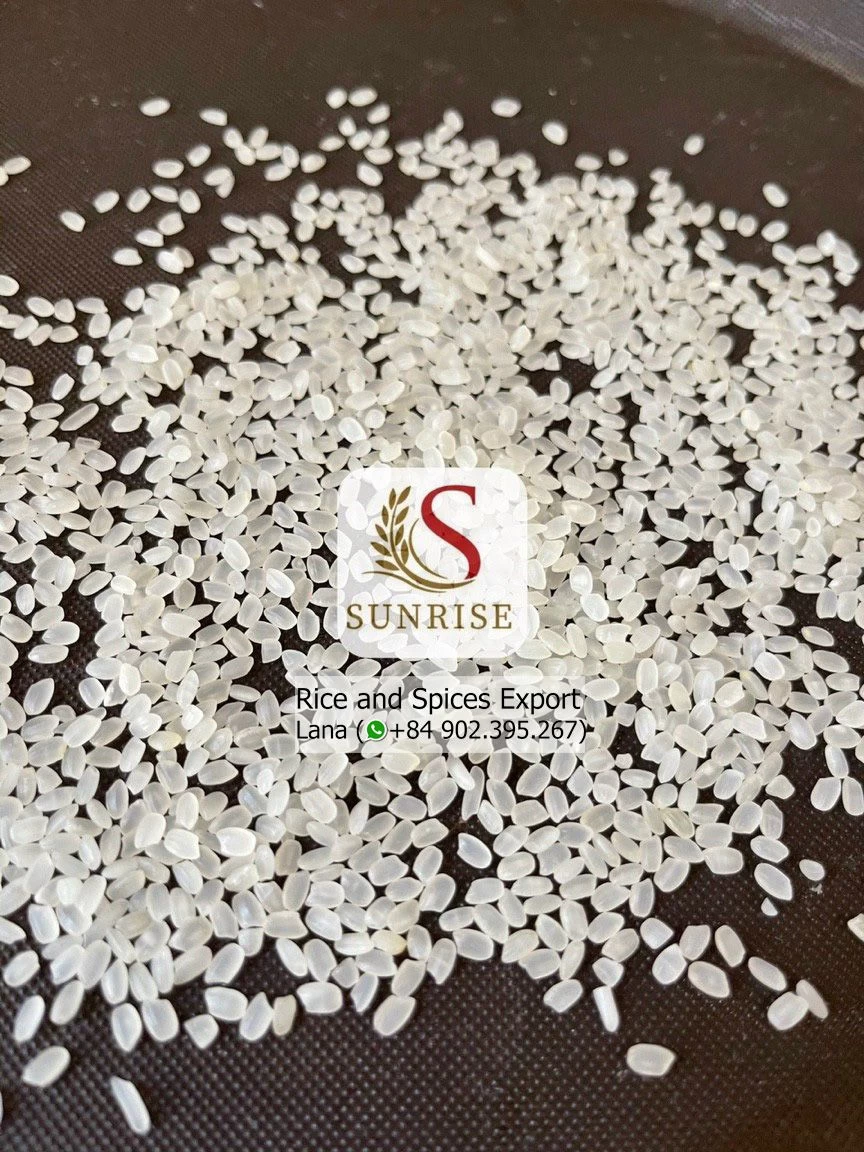 Buy Japonica Rice Short Round Rice From Vietnam from Sunrise Ins ...