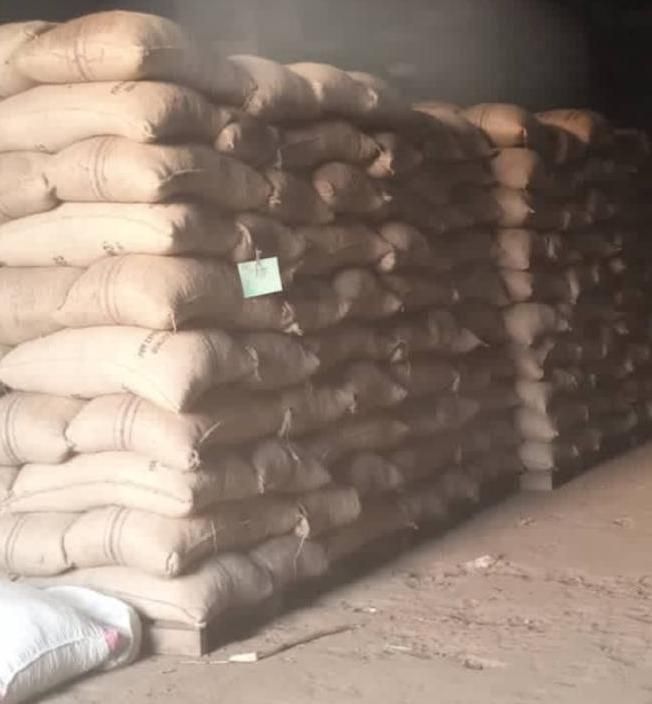 Buy Dry Cocoa Beans, Bean Count 98, Moldy 3-4% Moisture Content 7.5% ...