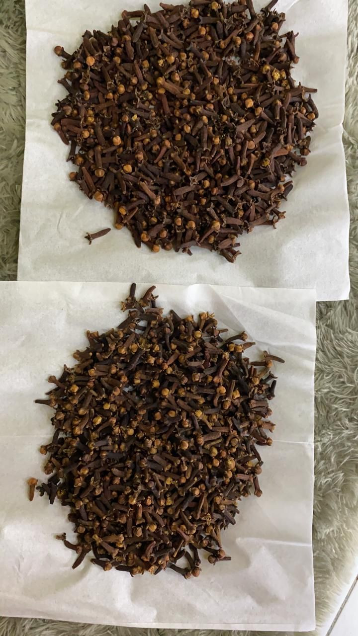 Buy Clove From Indonesia from PT Putra Batara Bumi, Indonesia ...