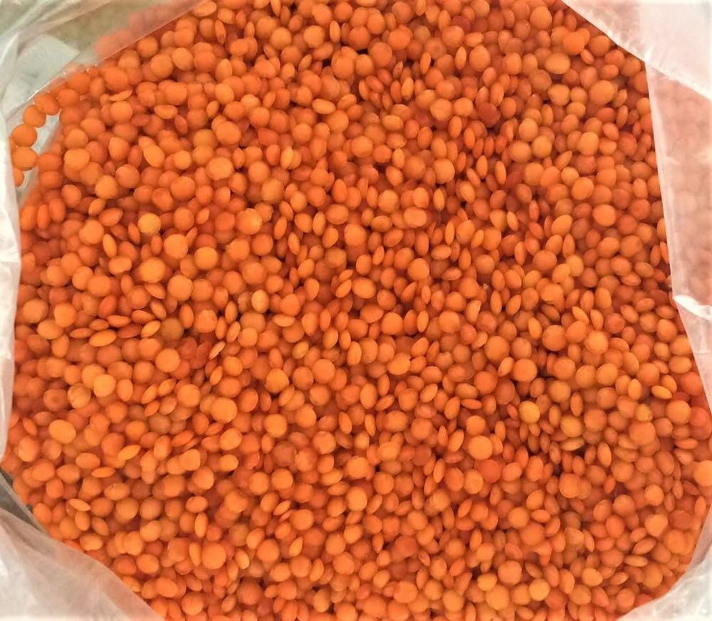 Buy Top Quality Red And Green Lentils For Sale / Canadian Red Split ...