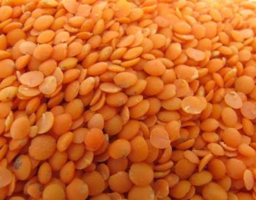 Buy Premium Quality Red Lentils Whole And Split from NorthStar Global ...