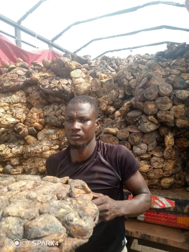 Buy Natural Rubber Cup Lumps from Gifex Agro Tanzania Limited, Tanzania ...