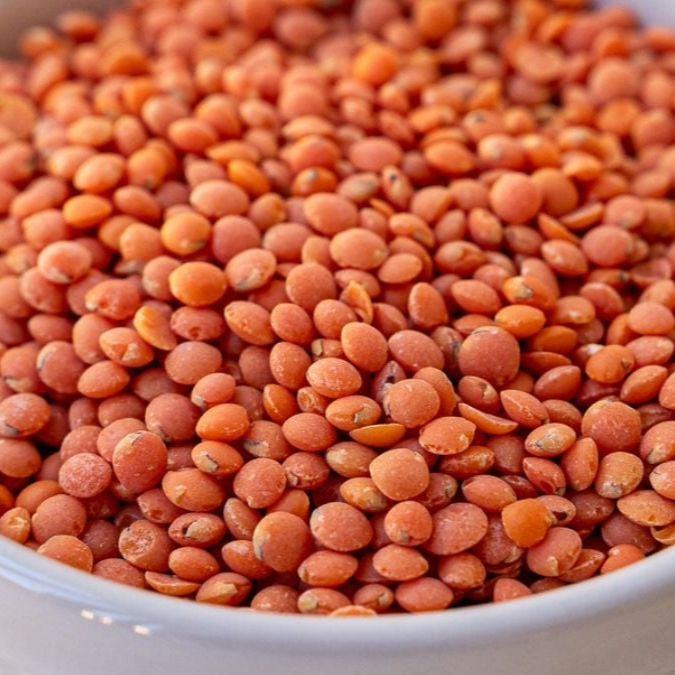 Buy Top Quality Red And Green Lentils For Sale / Canadian Red Split ...