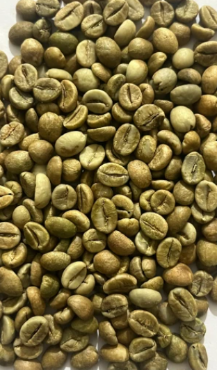 Buy Export Grade Robusta Cherry Aa – Indian Green Coffee From Western ...
