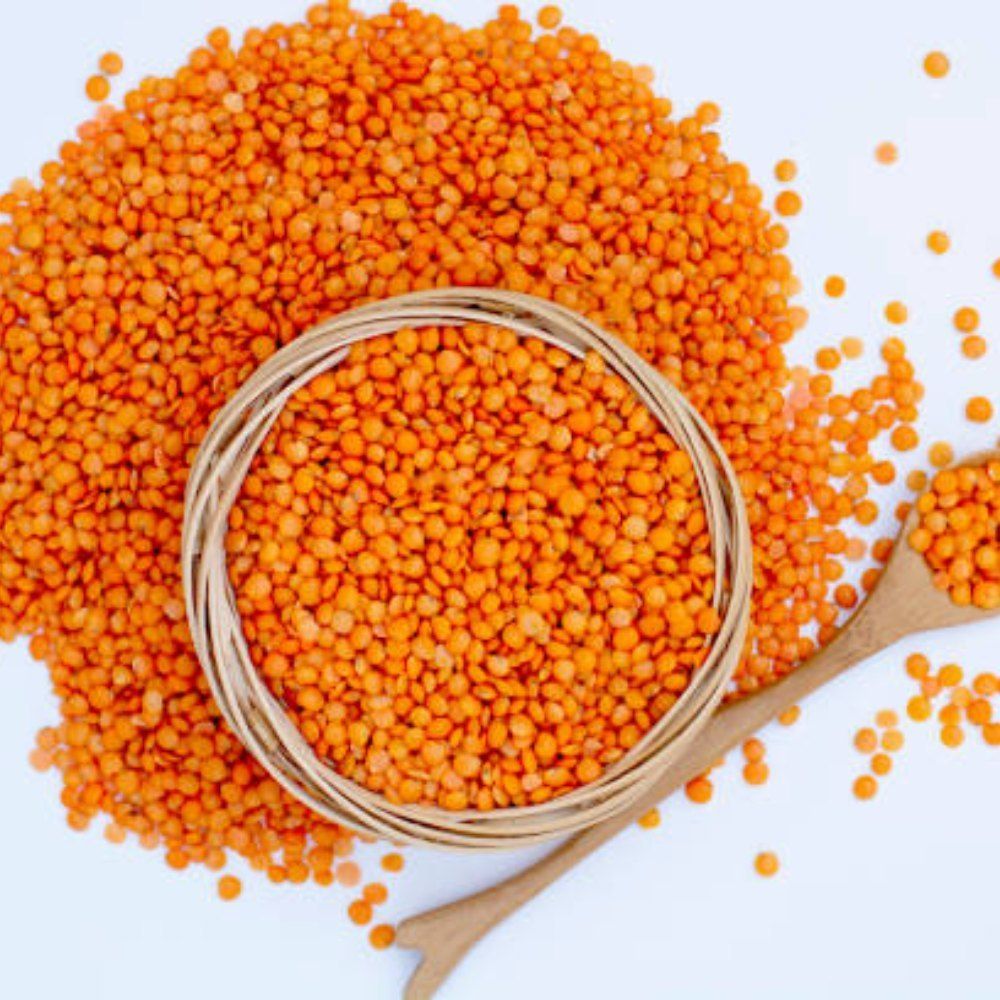 Buy Premium Quality Red Lentils Whole And Split from NorthStar Global ...