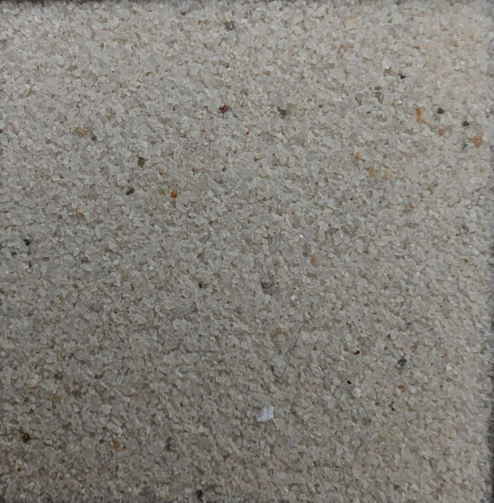 Buy Stone Texture Paint from Luxstone Texture Pvt. Ltd., India ...