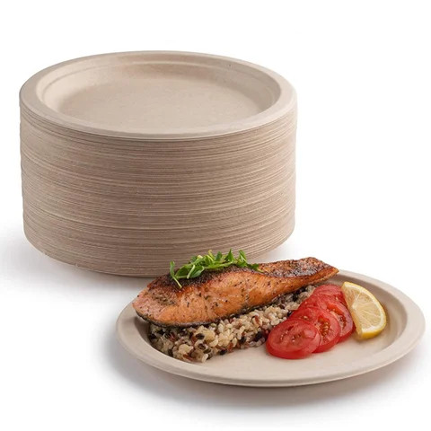Buy 9 Inch Disposable Eco Friendly Plate Sugarcane Bagasse Plates Oval ...