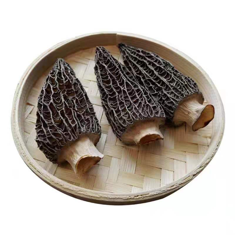 Buy Free Samples Dried From China Tweeter Morel Mushrooms Morels from ...