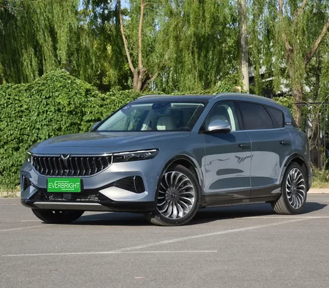 Buy New Silver Pure Electric Suv 2024 Voyah Free Nedc 505km Max Power ...